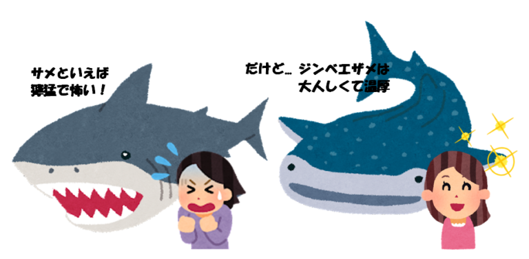 【画像10枚】海遊館のジンベエザメ2頭の2024年現在の様子は？名前と見分け方・生態について完全解説！ | rashiku like