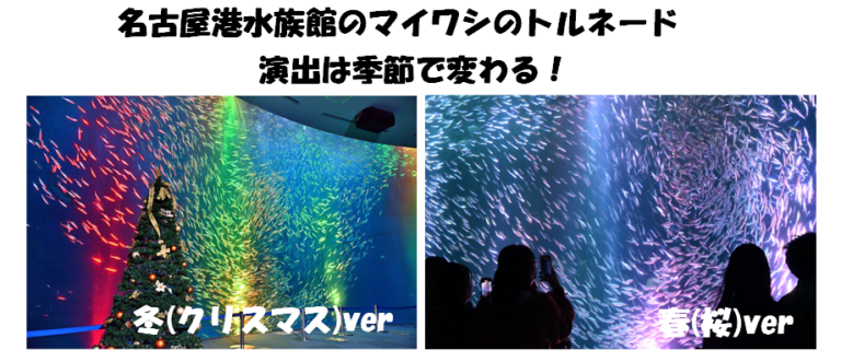 名古屋港水族館で親子連れに人気の生き物ランキング7選｜子供に解説するときに役立つウンチク解説付き | rashiku like