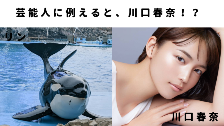 【図解】名古屋港水族館3頭のシャチの名前と性格・見分け方を完全解説！ | rashiku like