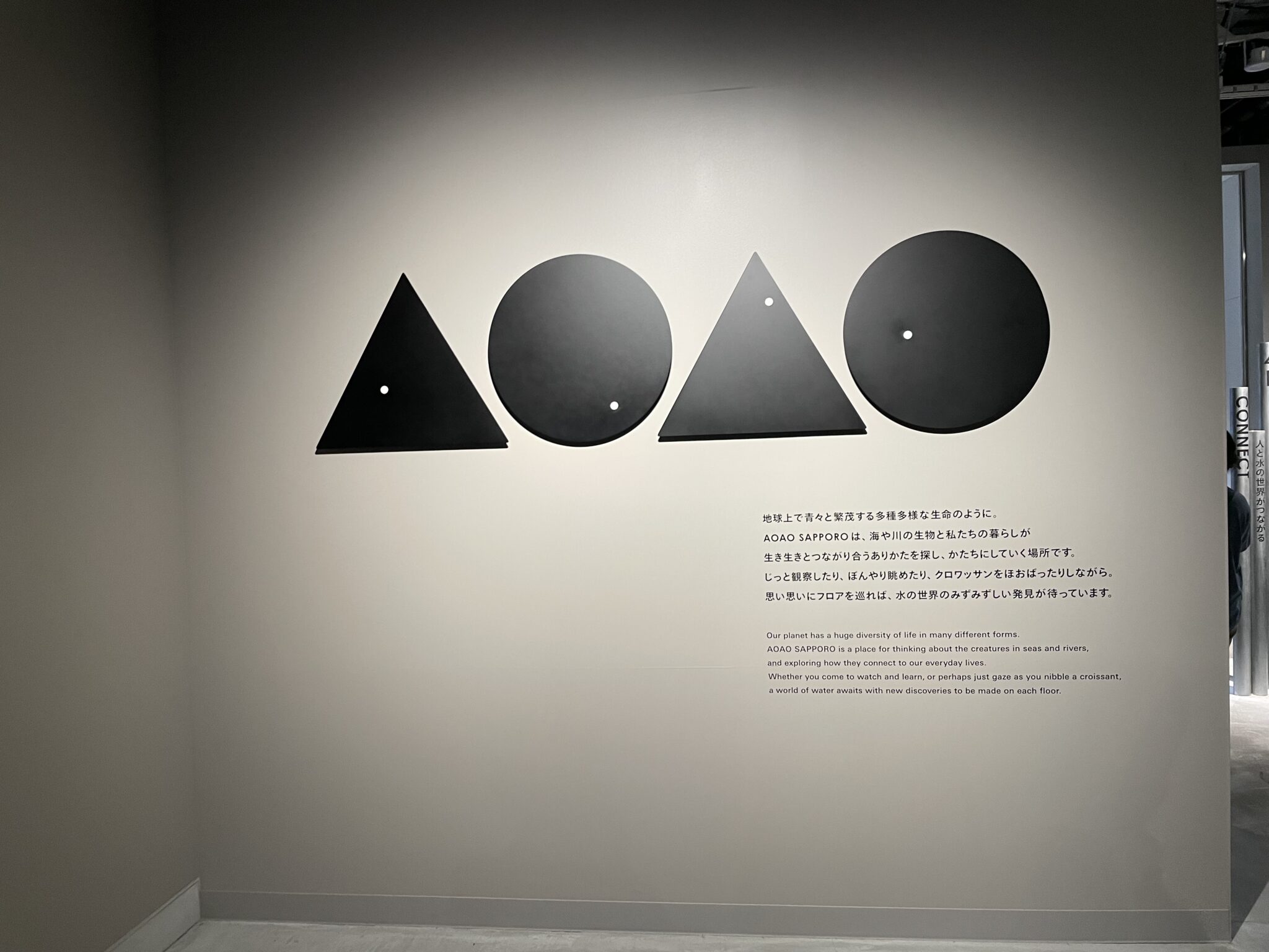 アオアオサッポロの目的別所要時間と混雑状況を徹底解説！ | rashiku like