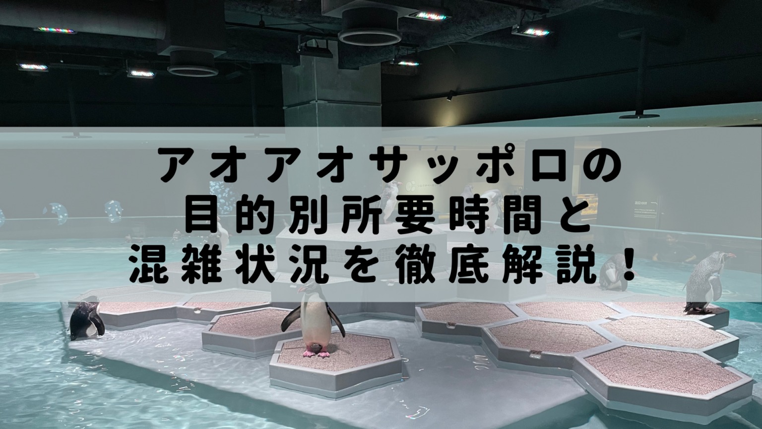 アオアオサッポロの目的別所要時間と混雑状況を徹底解説！ | rashiku like
